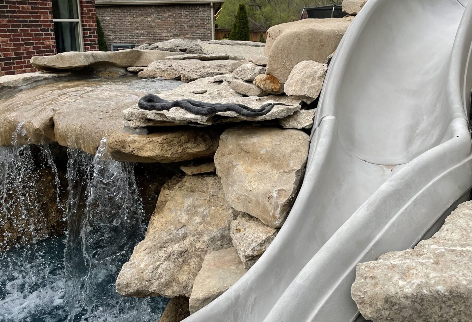 8 Effective Ways To Keep Snakes Out of Pool - Pool Owners Academy