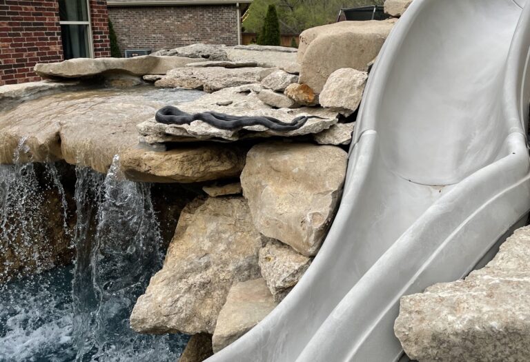 8 Effective Ways To Keep Snakes Out of Pool - Pool Owners Academy