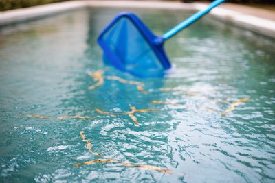 Best Way to Get Rid of Pollen In Your Pool (5 Easy Steps) - Pool Owners ...
